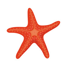 Starfish Clipart Free Stock Photo - Public Domain Pictures