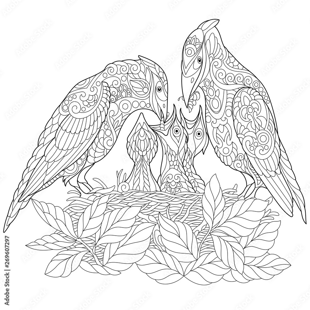 เวกเตอร์ Stock spring birds coloring page in zentangle style | Adobe Stock