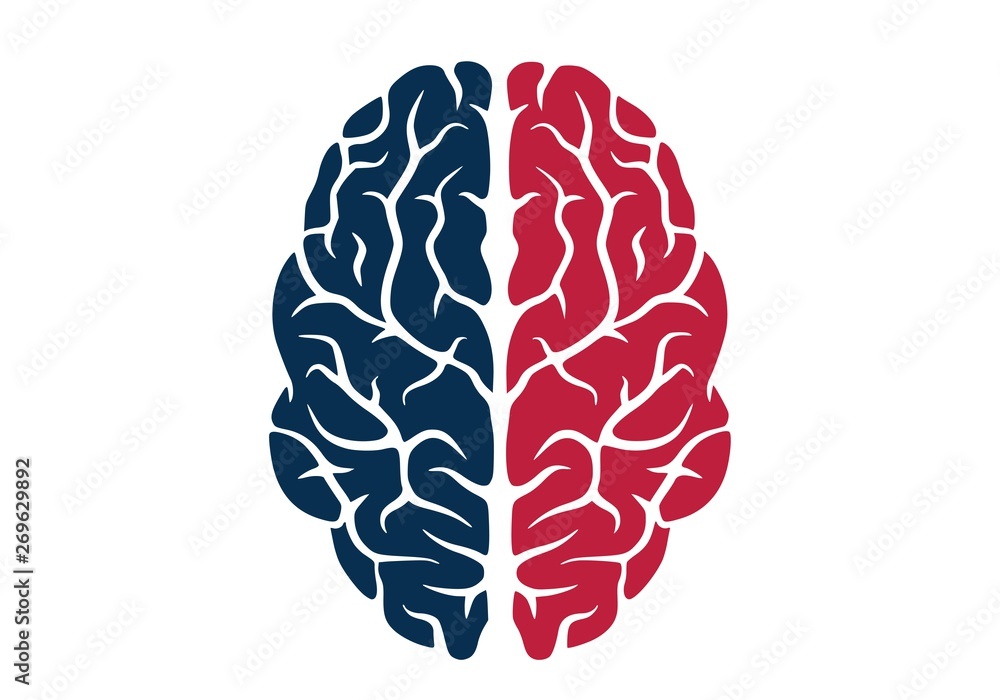 human brain icon colored isolated vector image Stock Vector | Adobe Stock