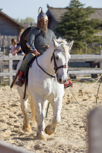 Knight Charger Horse Rider Free Stock Photo - Public Domain Pictures