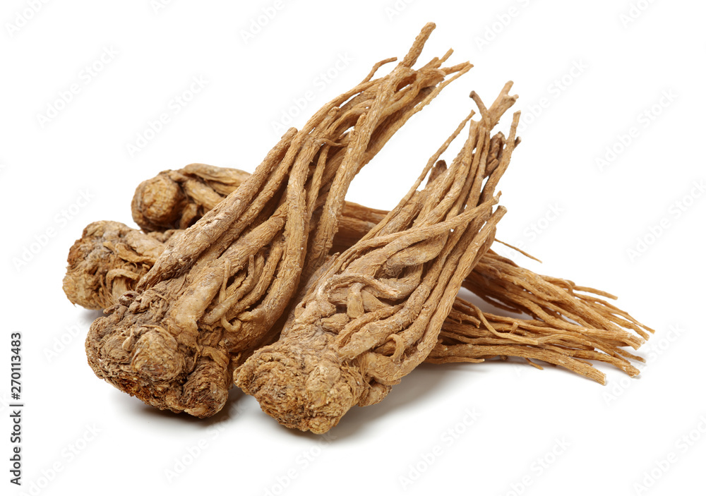 Angelica root used in chinese traditional herbal medicine, over white ...