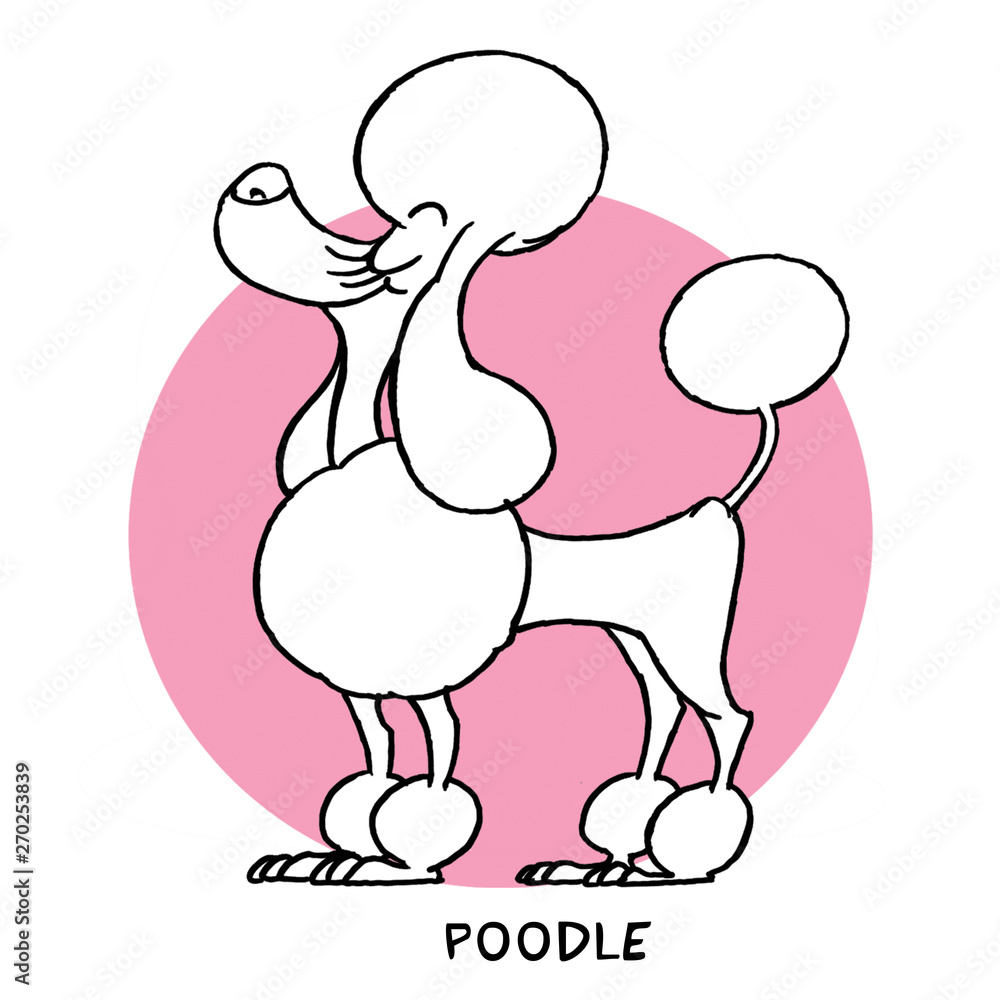 Poodle Cartoon Stock Illustration | Adobe Stock