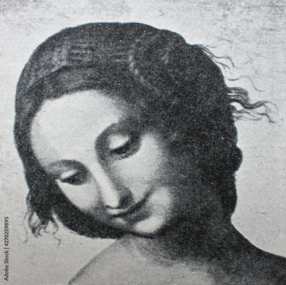 Head of Leda by Leonardo da Vinci in the vintage book Leonardo da Vinci ...