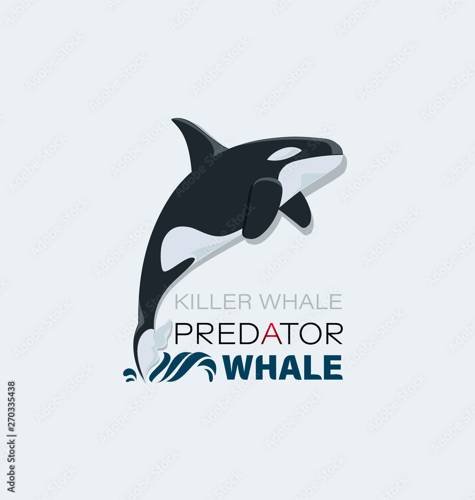 Killer Whale. Marine predator. Emblem. Design for textiles, thematic ...