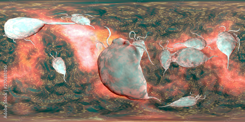 Trichomonas vaginalis protozoan, 360-degree spherical panorama view, 3D ...