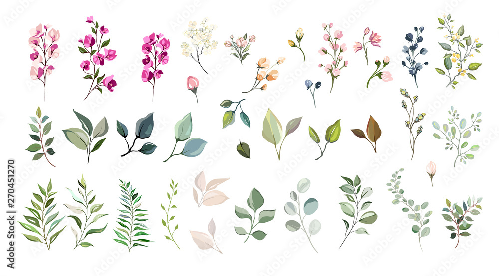 Set of floral elements. Flower and green leaves. Wedding concept ...