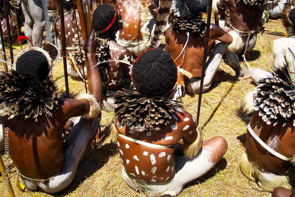 dani people during tribe festival in wamena-baliem valley-papuasia ...