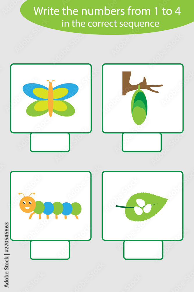 Visual game with life cycle of butterfly pictures for kids, educational ...
