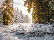 Snowy Boughs Over Creek Free Stock Photo - Public Domain Pictures
