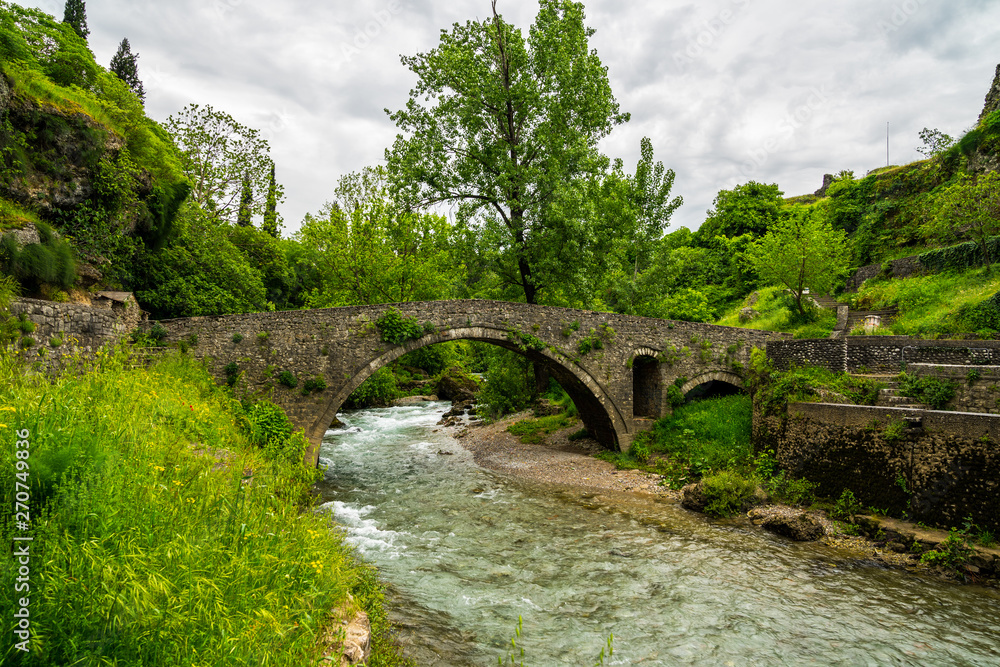 Montenegro, Old stone bridge named stari most na ribnici over river ...