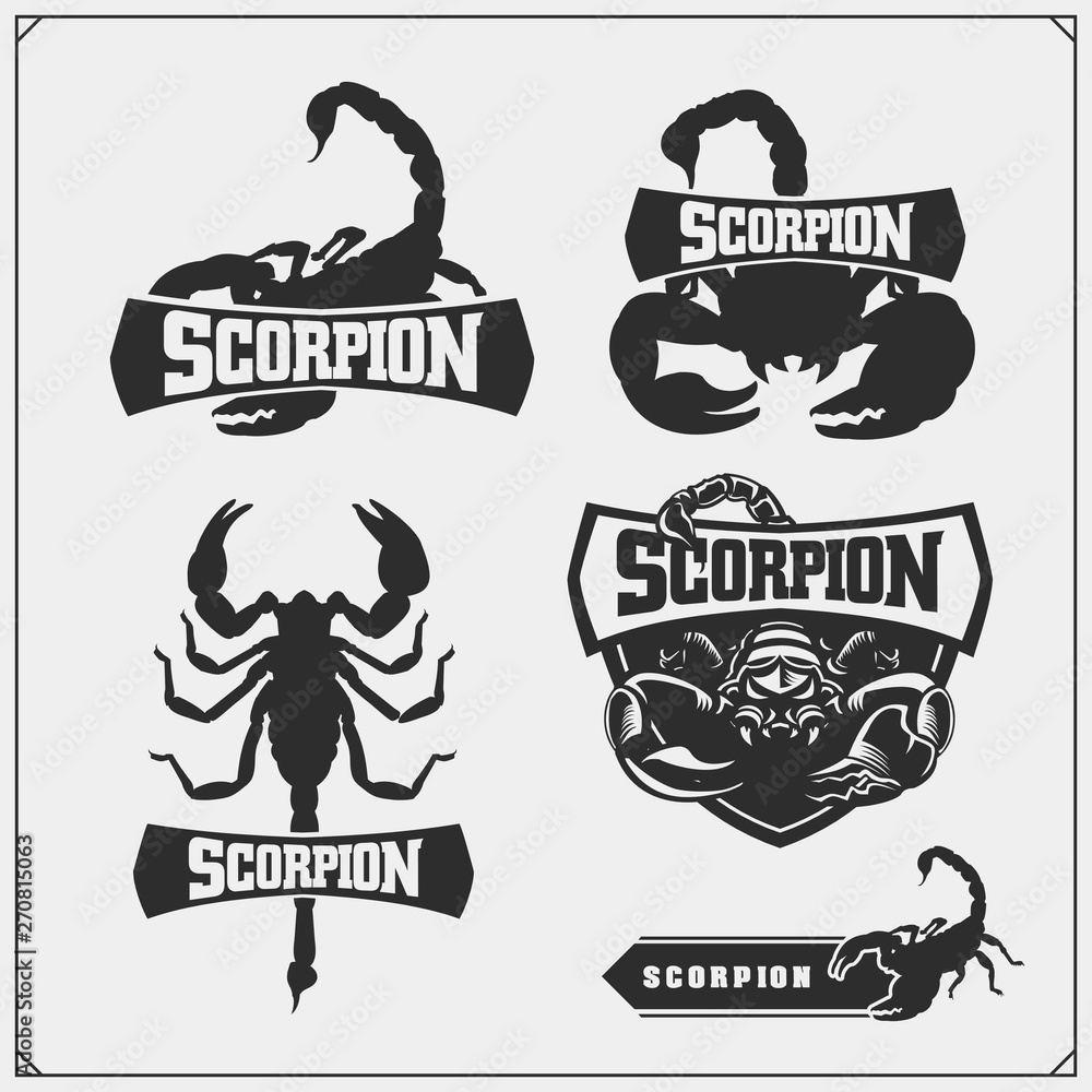Scorpions emblems, labels, logos and design elements. Silhouettes of a ...