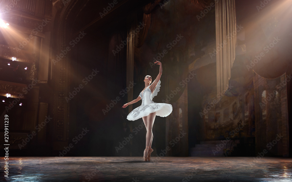 Ballet. Classical ballet performed by a couple of ballet dancers on the ...