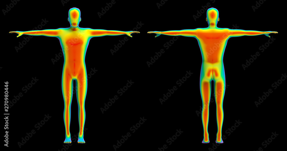 3d rendering. Human front and back body scan by infrared ray structure ...