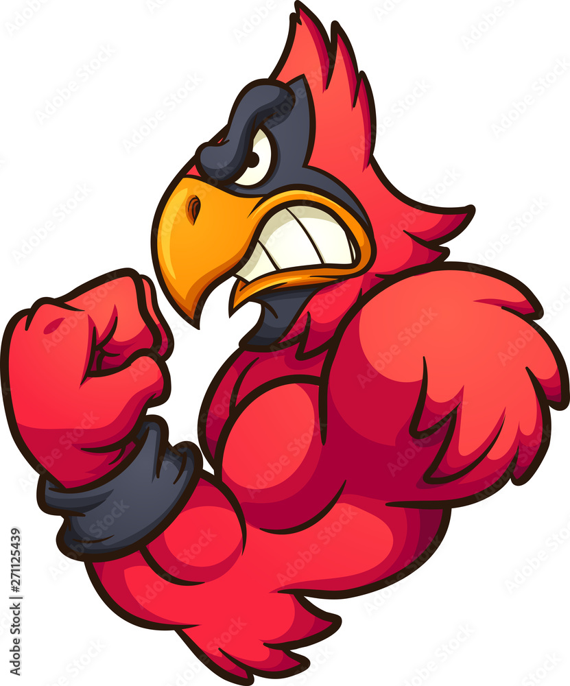 Strong cartoon red cardinal mascot clip art. Vector illustration with ...