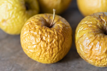 Withered Apple Free Stock Photo - Public Domain Pictures