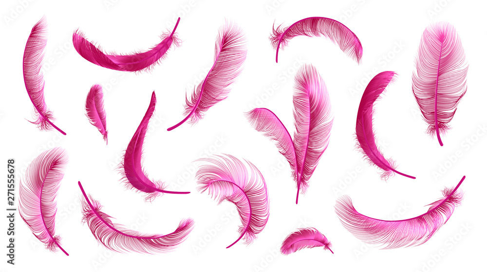 Vector feathers collection, set of different falling fluffy twirled ...