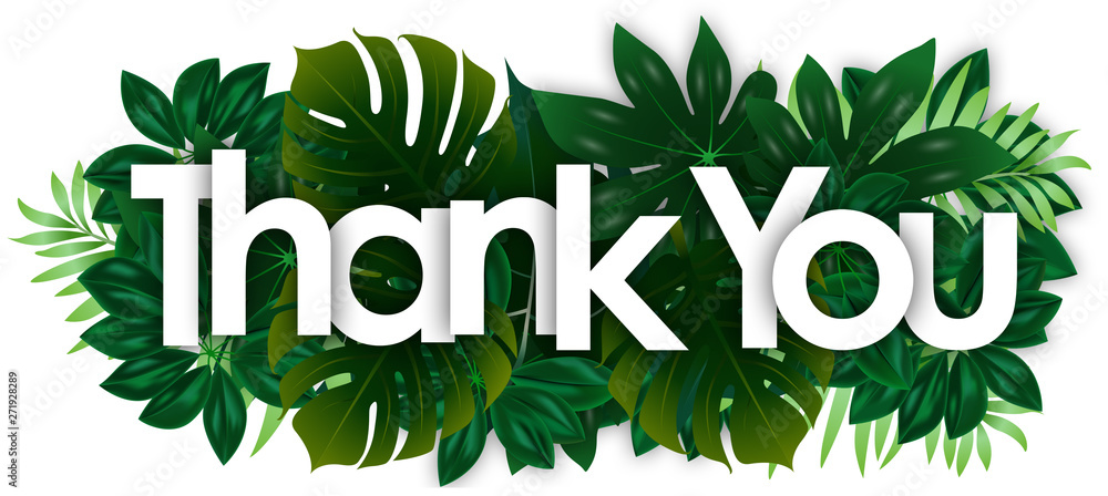 Thank you word and green tropical’s leaves background Stock ...