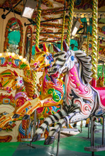 Zebra Carousel Horse Free Stock Photo - Public Domain Pictures