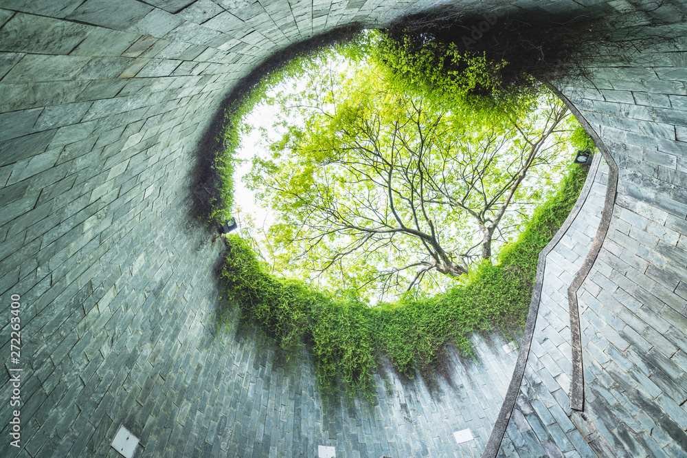 big green tree and spiral staircase of underground crossing in tunnel ...