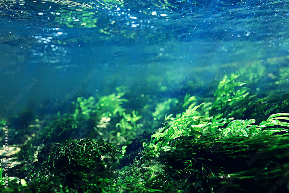 underwater mountain clear river / underwater photo in a freshwater ...