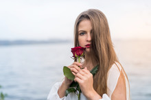 Rose 'the Lady Of The Lake' Free Stock Photo - Public Domain Pictures