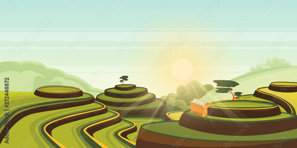 Rice harvest growth on terrace fields. Vector cartoon illustration of ...