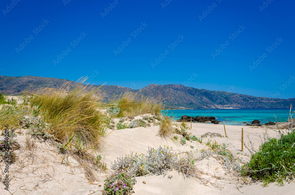Elafonisi beach, the amazing pink beach of Crete which has been voted ...