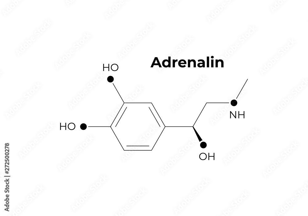 Vector hormones minimalistic banner template. Adrenalin structure black ...