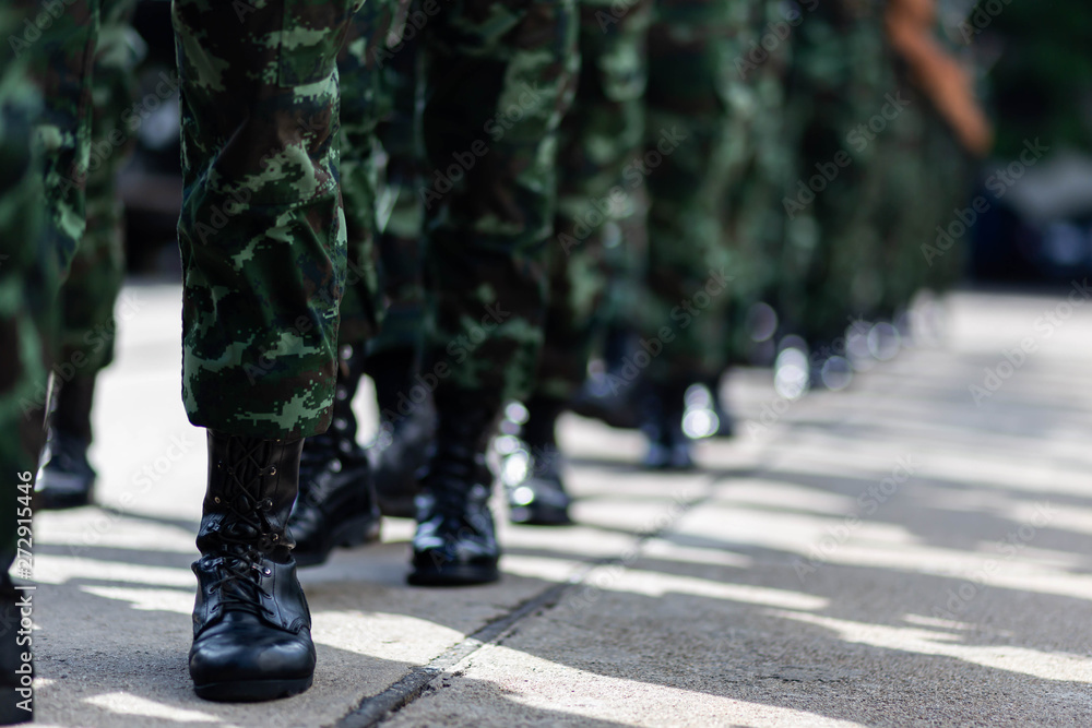 iron discipline of the best soldiers in army, a column of soldiers in ...