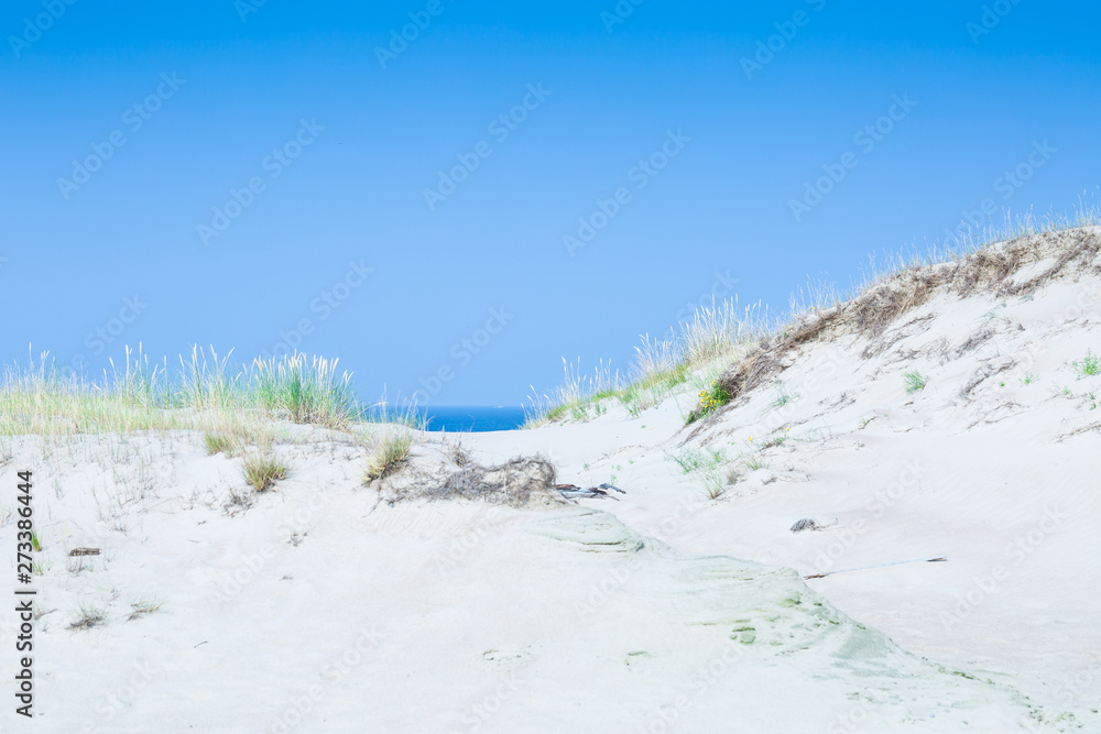 Sand dunes of the Curonian spit also known as "Dead or Grey dunes ...