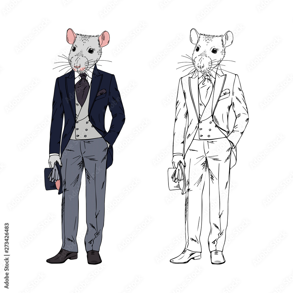 Humanized rat gentleman dressed up in vintage Victorian suite. Hand ...