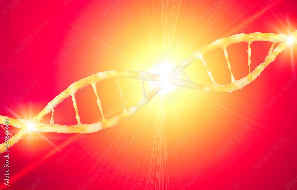 DNA, Deoxyribonucleic acid is a thread-like chain of nucleotides ...