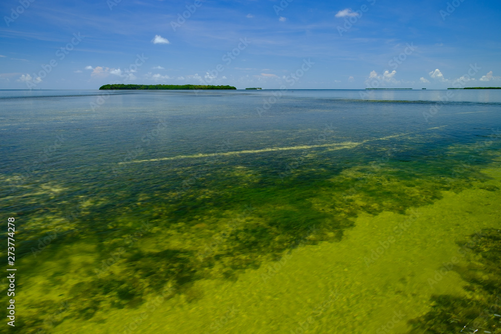 shallow flats located about half a mile out of key west Stock Photo ...