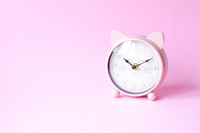Cat, Alarm Clock Free Stock Photo - Public Domain Pictures