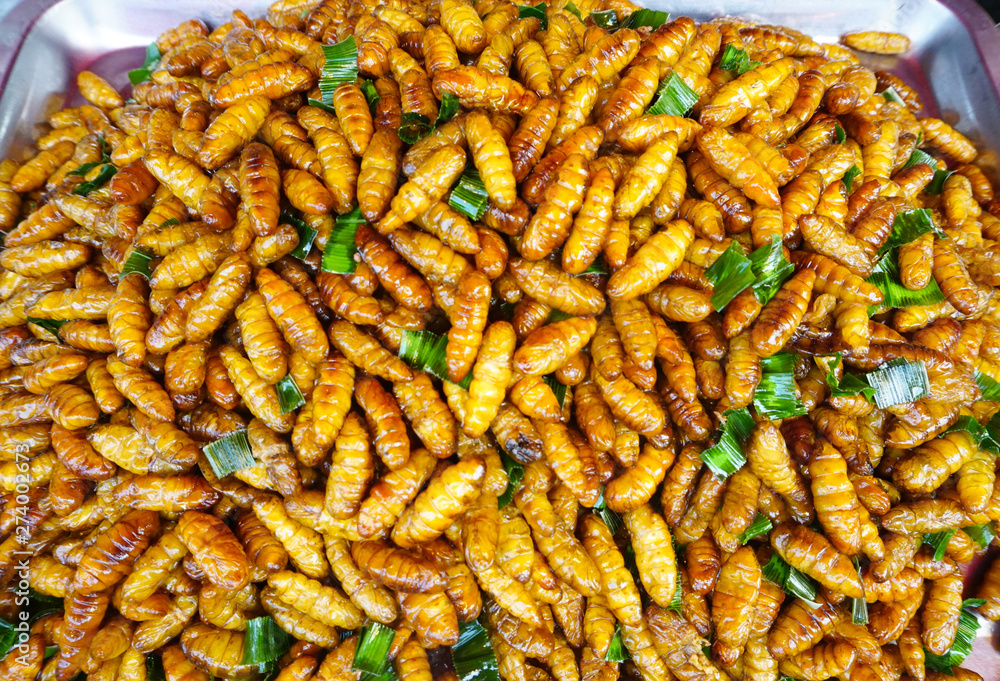 Chrysalis silkworm fried crispy,silk worms bamboo insect, Pupa ,yellow ...
