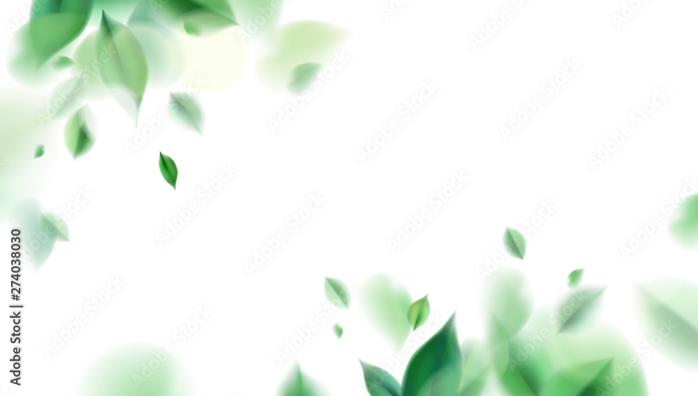 Green nature leaves on white background vector isolated elements design ...