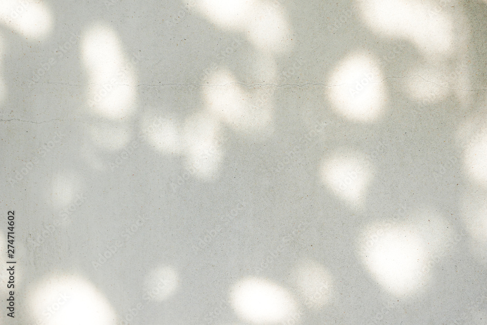 abstract background texture of shadows palm leaves on a concrete wall ...