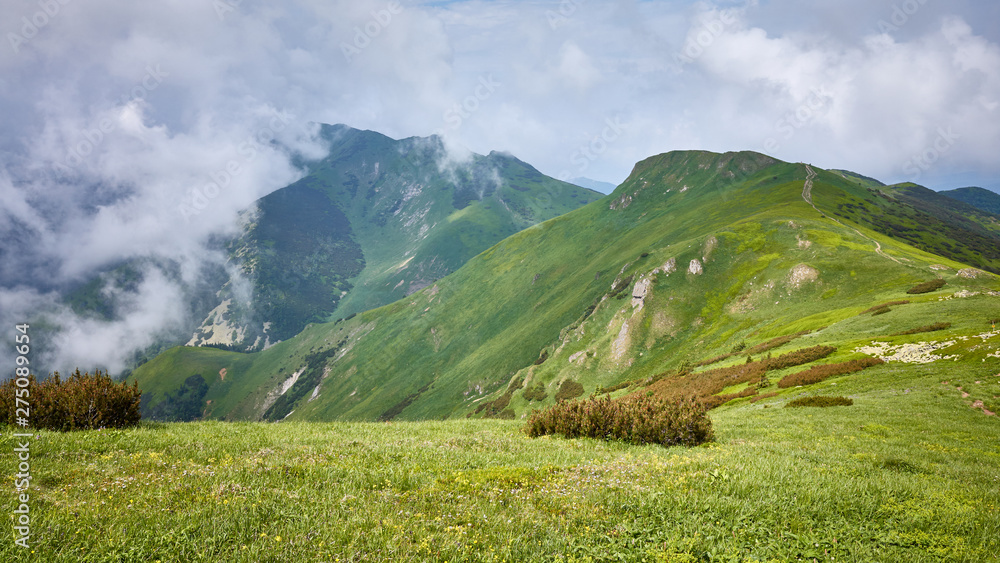 Ridge leading to the Velky Krivan (1,709 m), highest mountain in the ...