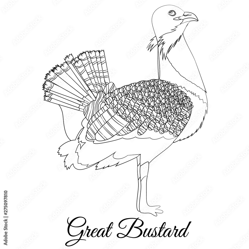 Great bustard cartoon bird coloring Stock Vector | Adobe Stock