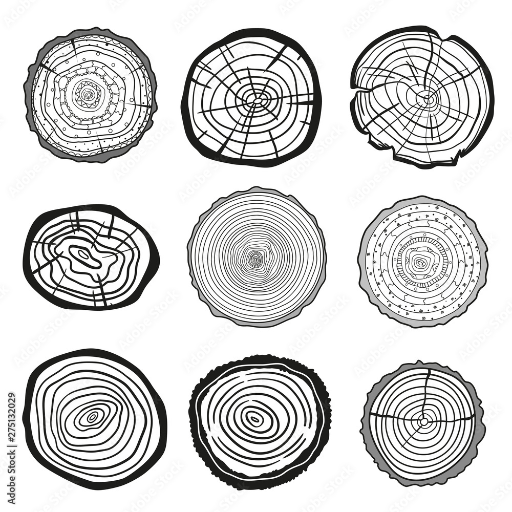 Tree rings. Set of cross section of the tree. Line art. Outline for ...