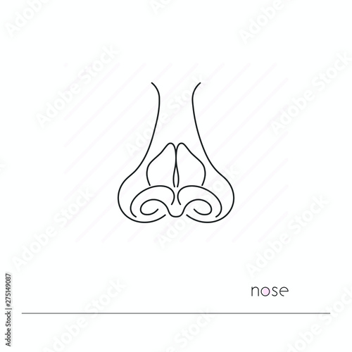Nose icon isolated. Single thin line symbol of nose. Human body anatomy ...