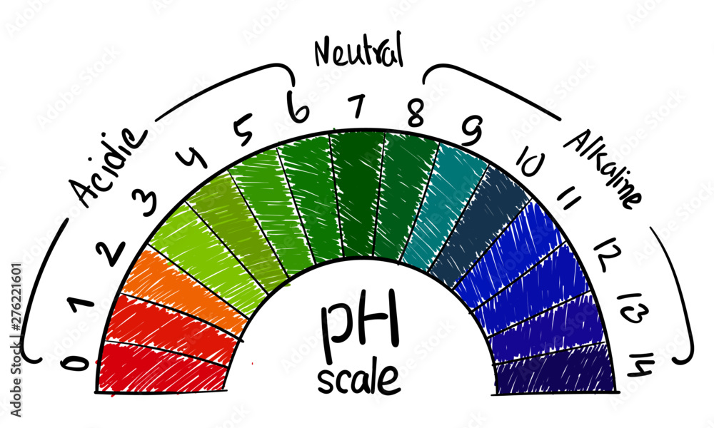 pH value scale science, chart for acid and alkaline solutions, acid-base balance infographic ...