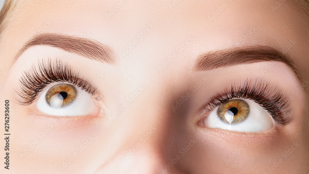 Eyes with long eyelashes. Classic 1D, 2D eyelash extensions and light brown eyebrow close up ...