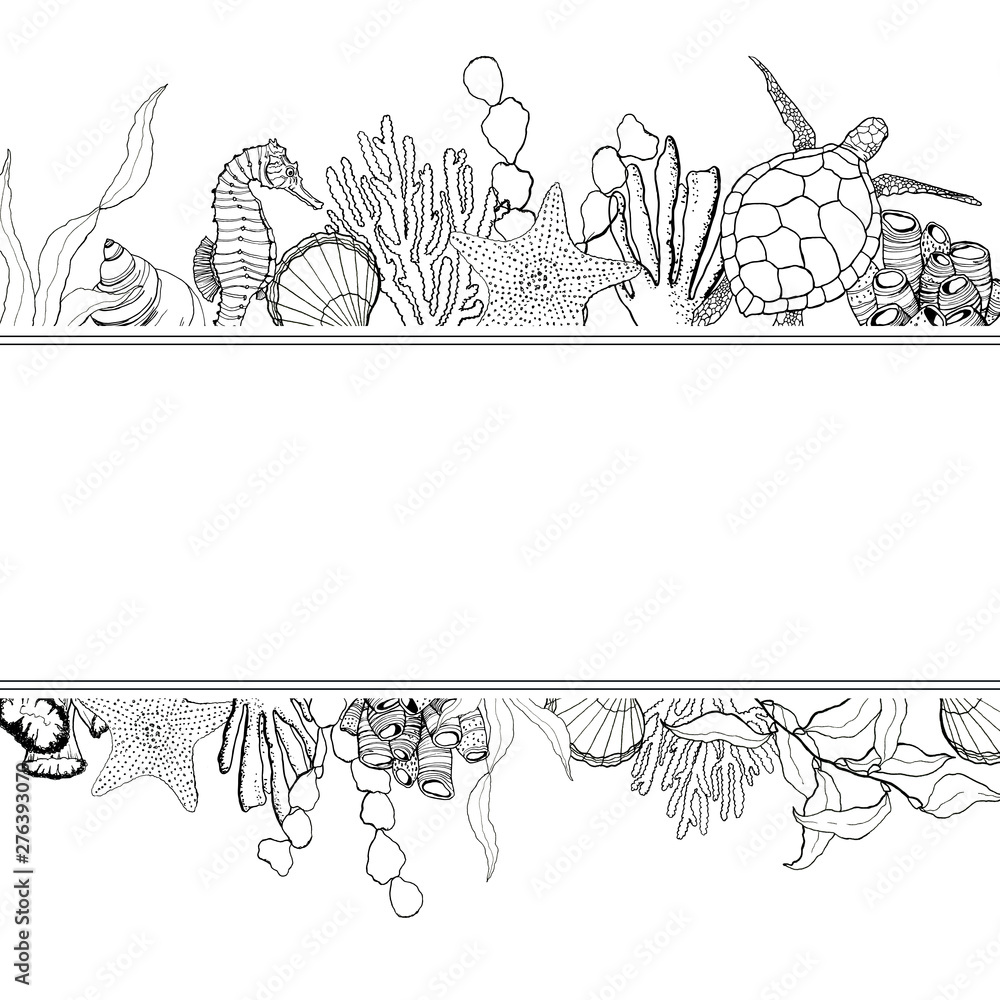 Line art border with coral reef animals. Hand painted seaweeds, shells ...