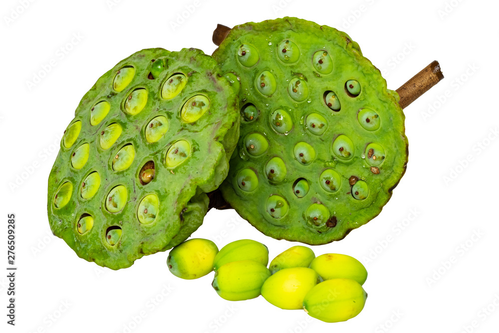 seed pods and seeds of lotus on the white background with clipping path ...