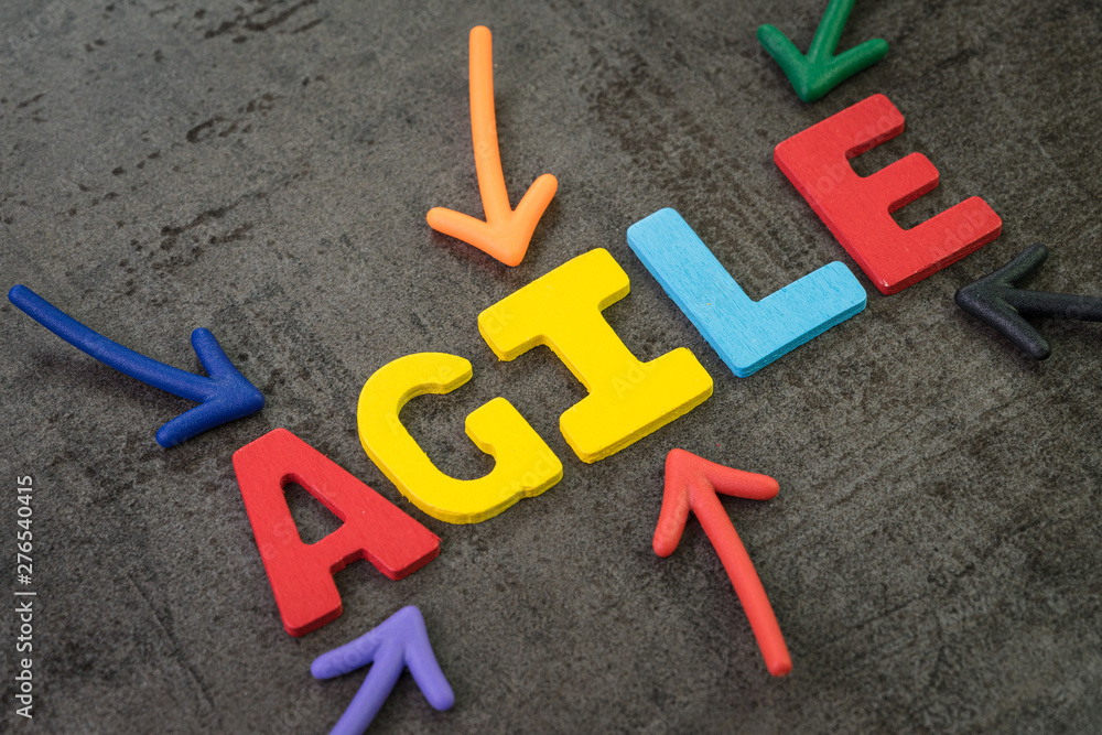 Agile development, new methodology for software, idea, workflow ...