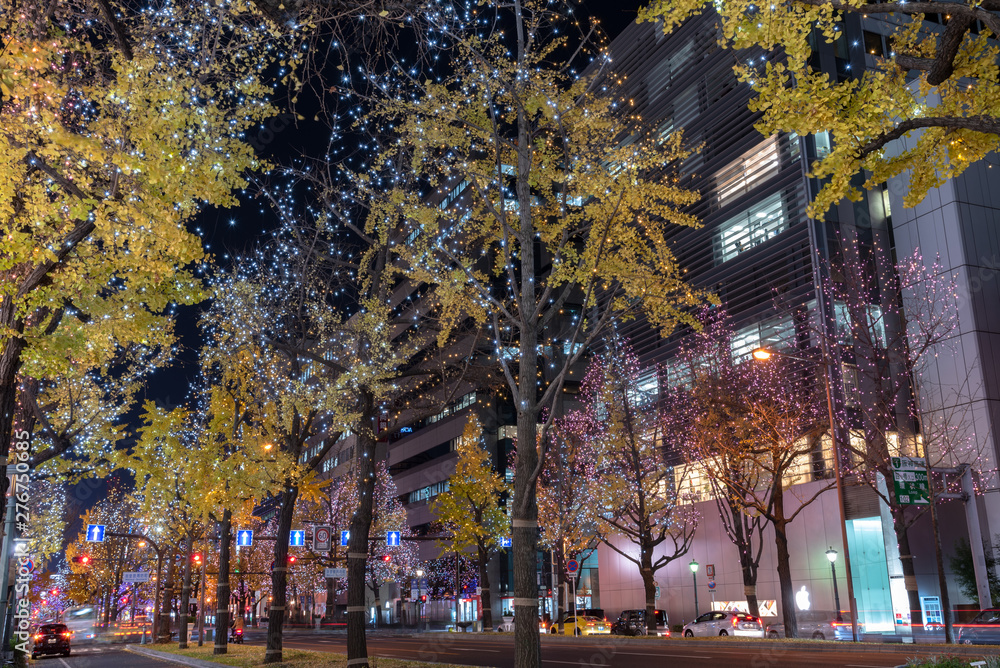 Festival of the Lights in Osaka. The winter illumination events ...