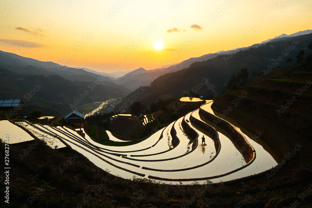 Aerial view of an unidentified man harrowing rice terraces in Mu Cang ...