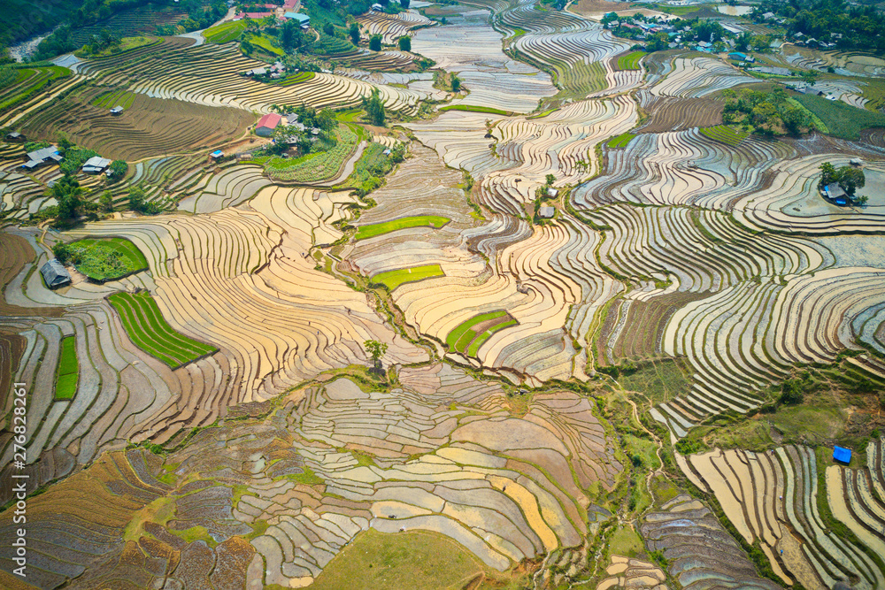 Aerial image of great rice terraces in Y Ty, Lao Cai, Vietnam in ...