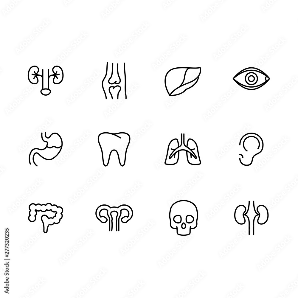 Human body internal organs icon simple symbols set. Contains icon ...